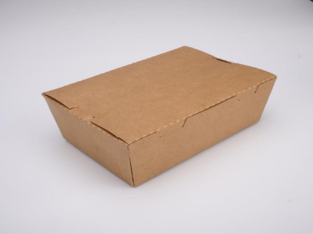 Bento Lunch Box (Brown) Supplier in Malaysia- Price & Review