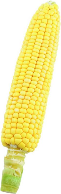 MASCORN Farm Fresh Super Sweet Corn On Cob （金玉米冷冻玉米） Supplier in ...