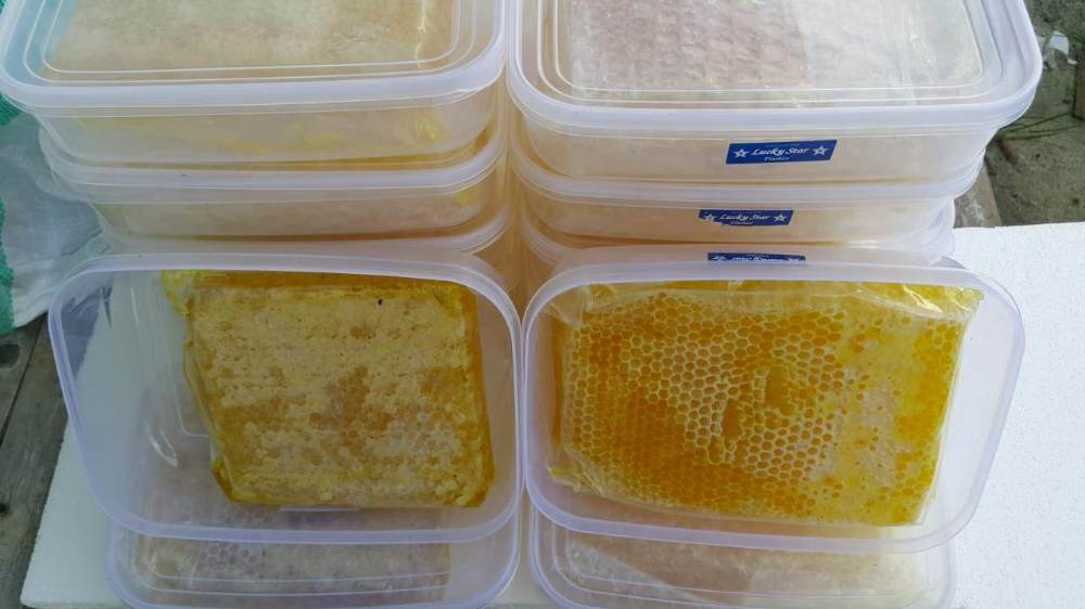 Sarang Madu Asli (Apis Cerana) Supplier in Malaysia- Price & Review